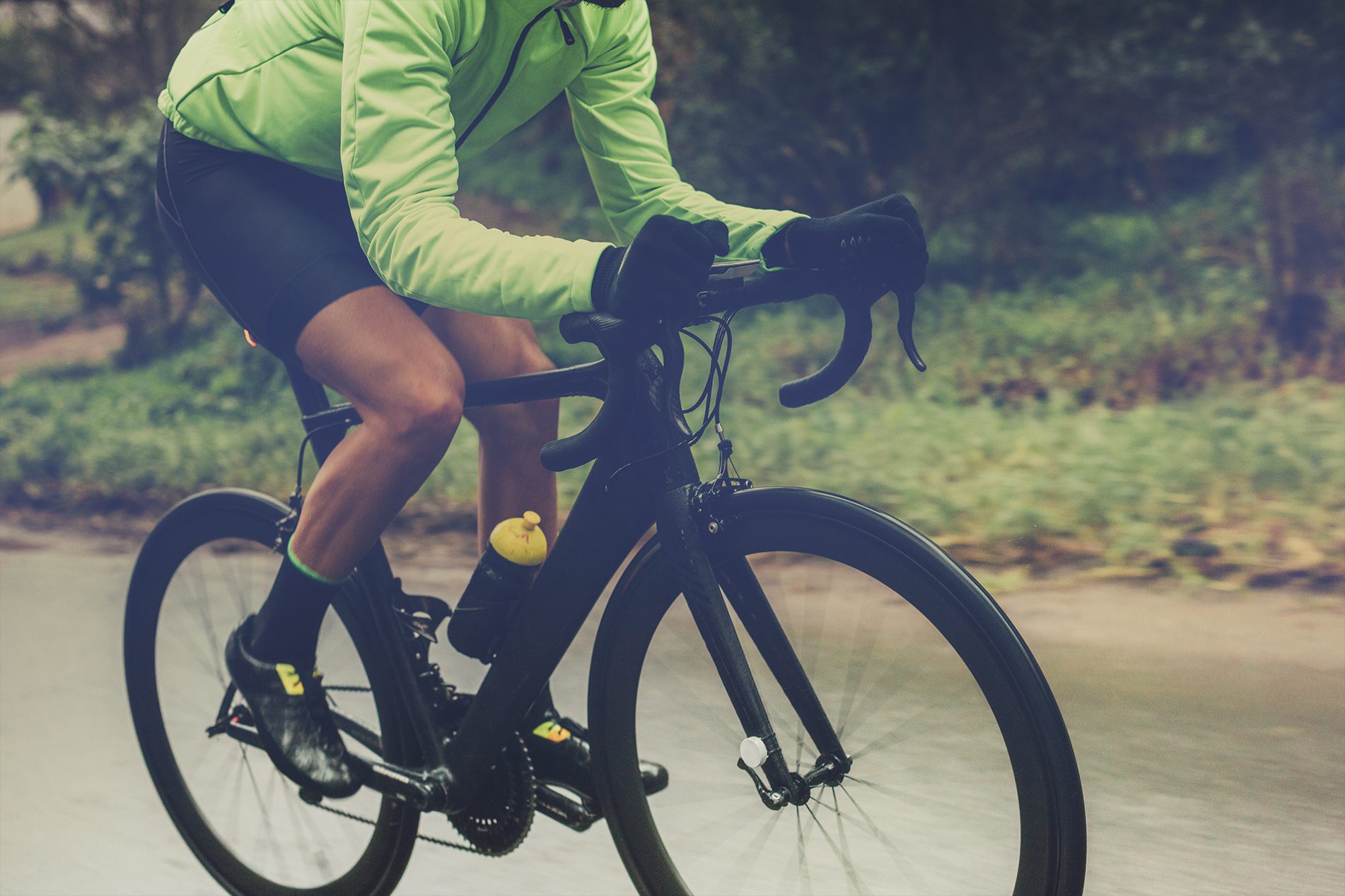 Coaches Profile - Animis