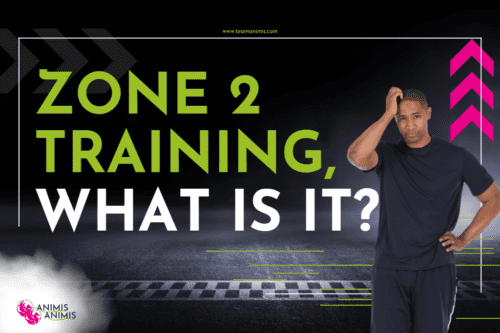Zone 2 training, what is it? - Animis