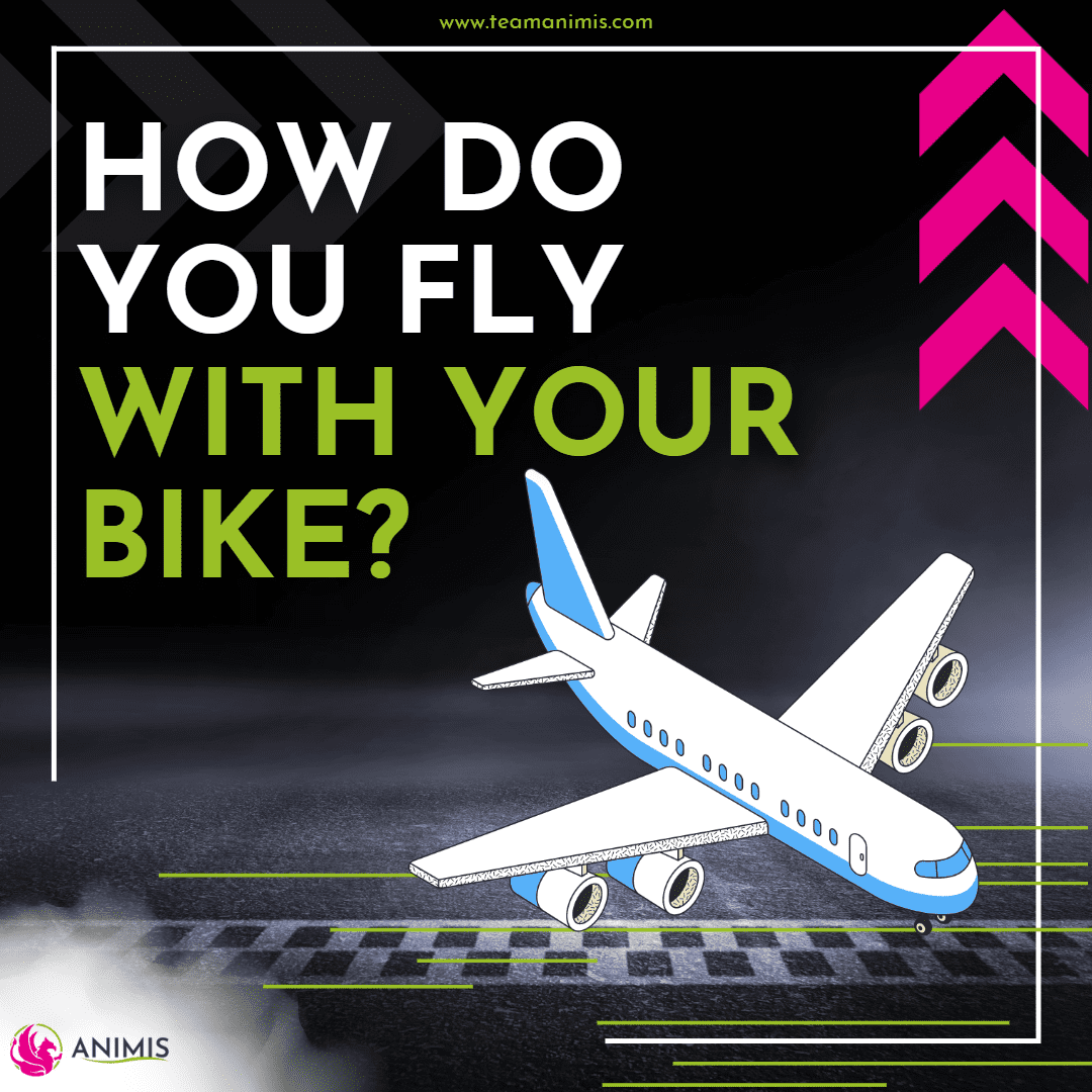 How do you fly with your bike? - Animis
