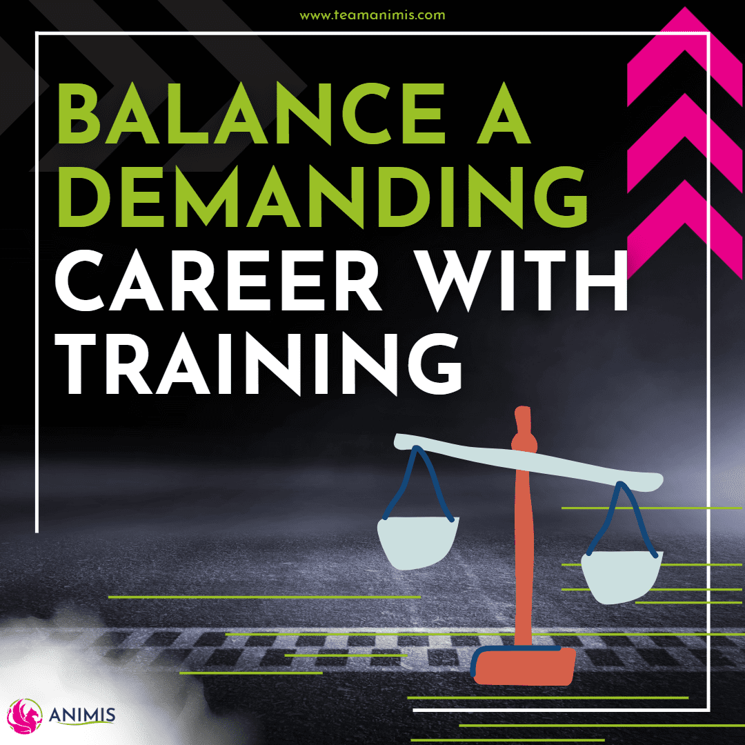 Balance a demanding career with training - Animis