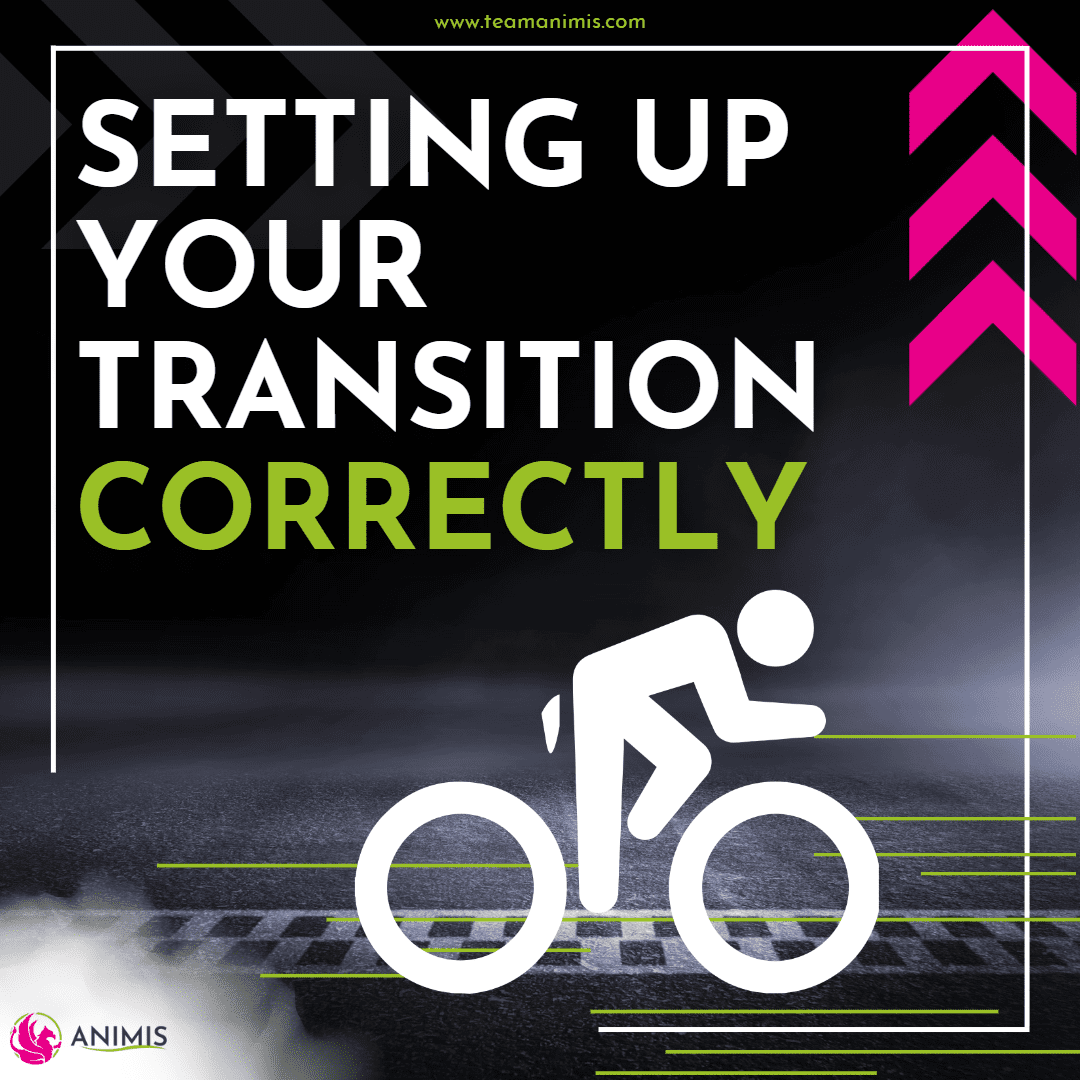 Setting up your transition correctly - Animis