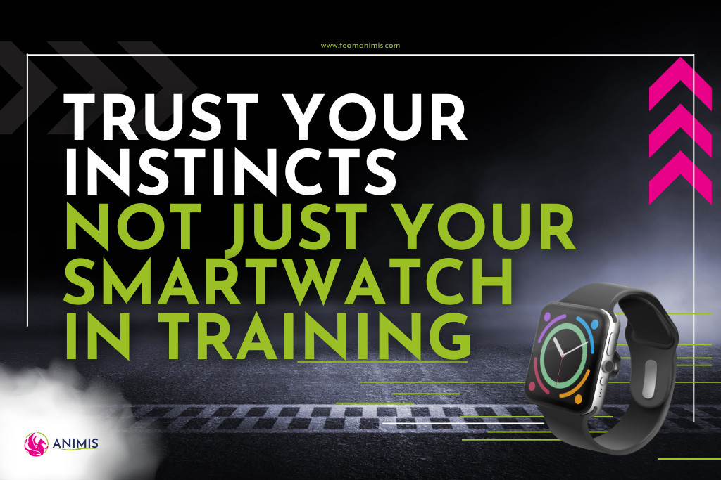 Trust Your Instincts, Not Just Your Smartwatch in Training - Animis