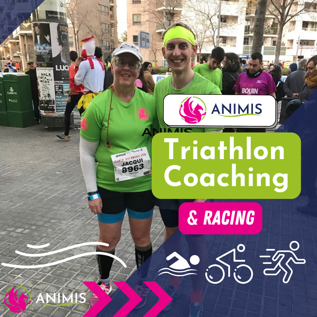 Upcoming Events - Animis